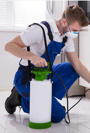 Residential Pest Control Services - PCA Extermination